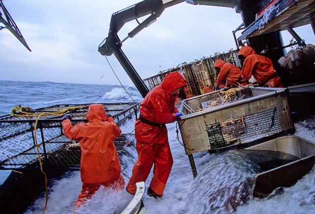 ‘Deadliest Catch’ Fans Mourn Death Of Beloved Captain – Daily News